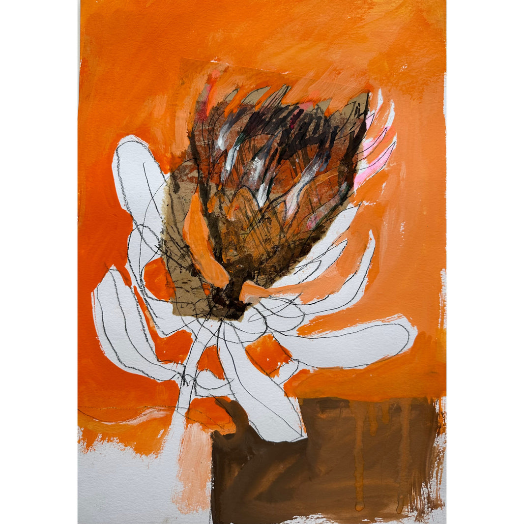 Debbie Mackinnon - Works On Paper - Floral Paintings