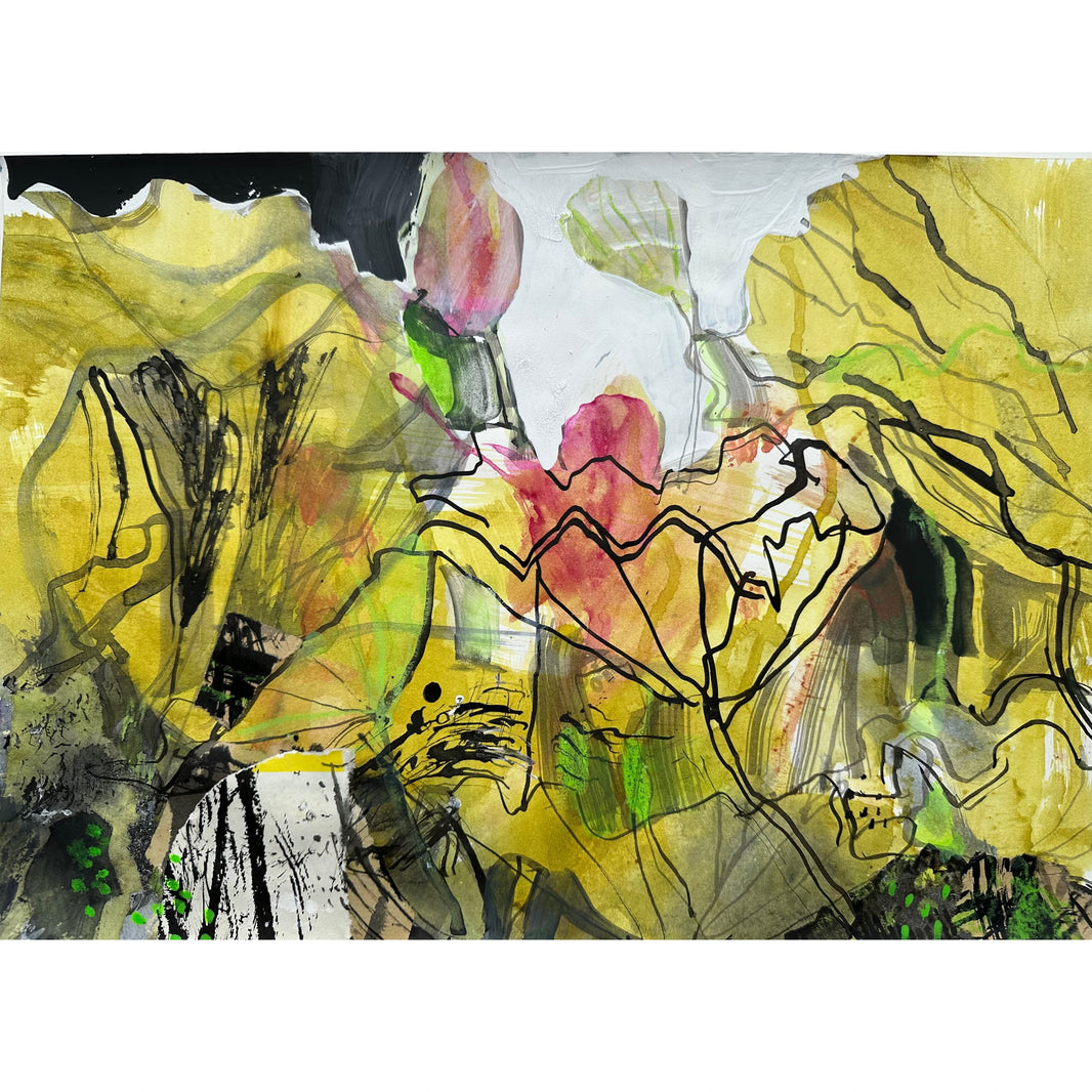 Debbie Mackinnon - Works On Paper - Floral Paintings