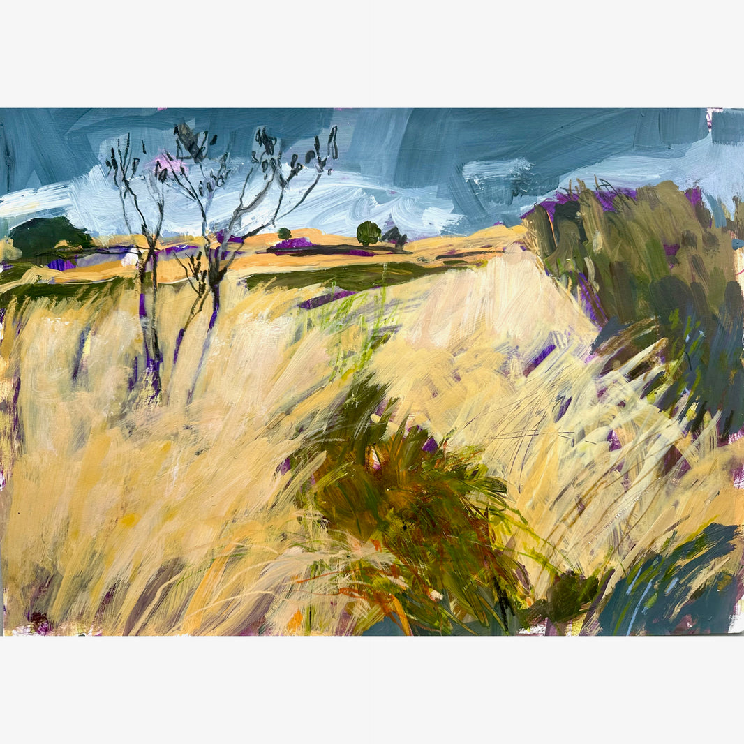 Debbie Mackinnon - Works On Paper - Landscape Paintings