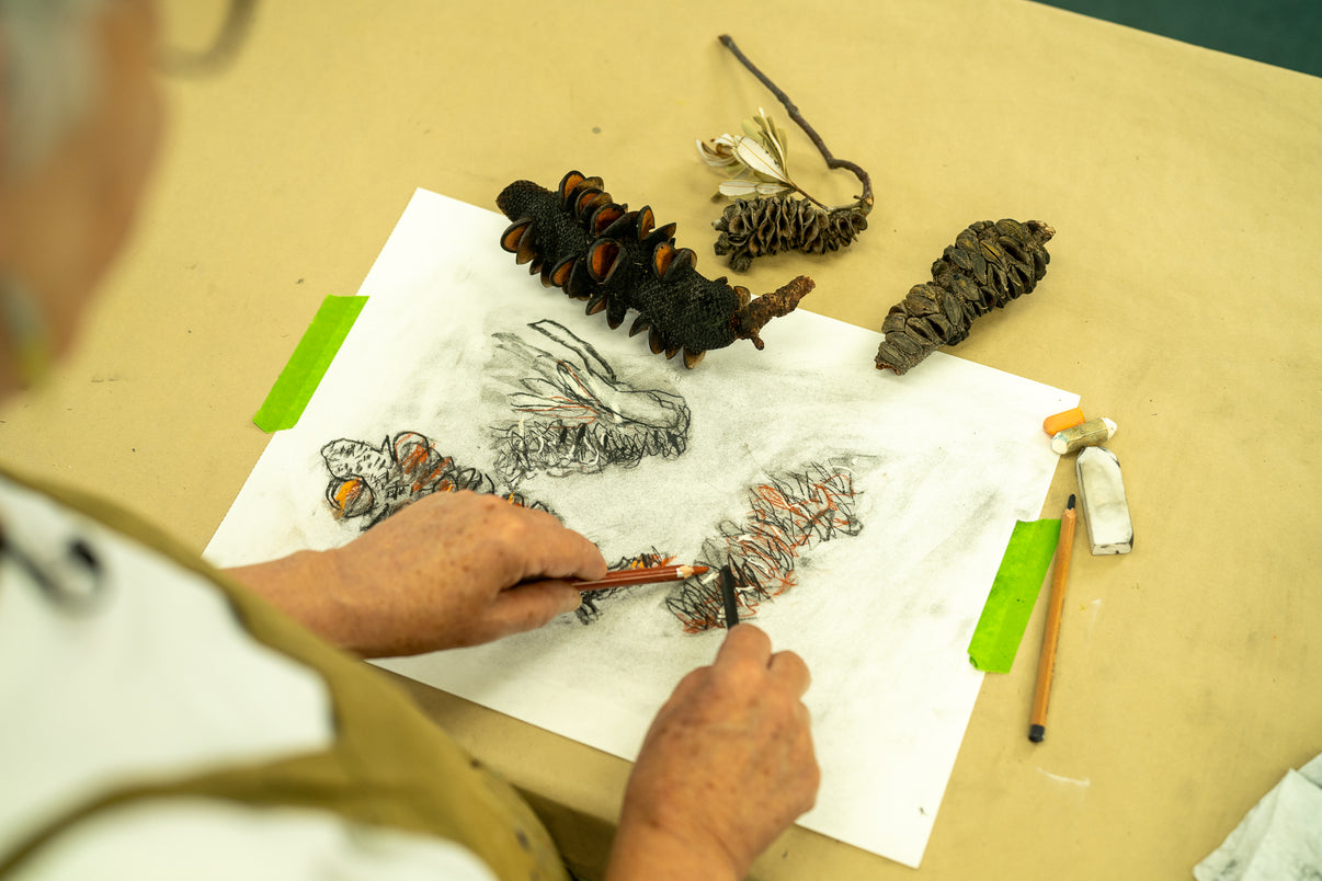 DRAW - Fast & Loose Still Life with Debbie Mackinnon