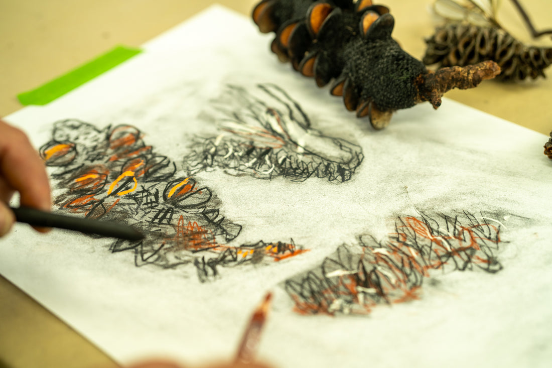 Debbie Mackinnon | Contemporary Abstract Artist